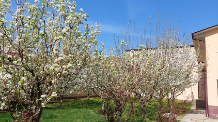Продается дом 6 соток Янгиюльский район книжный Гульбахор