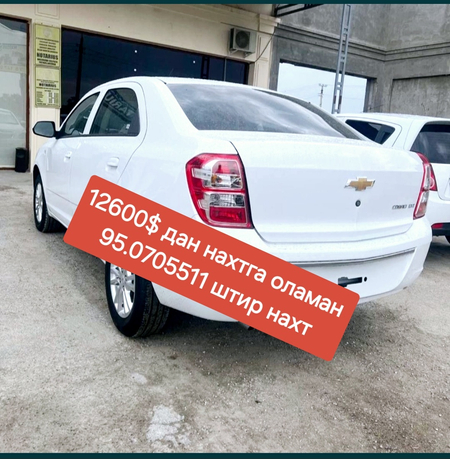 Собалт 2024. Cobalt 2024