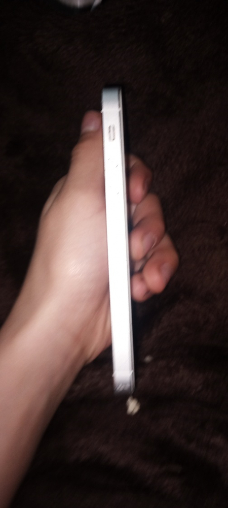 iPhone 5 32gb iCloud bor