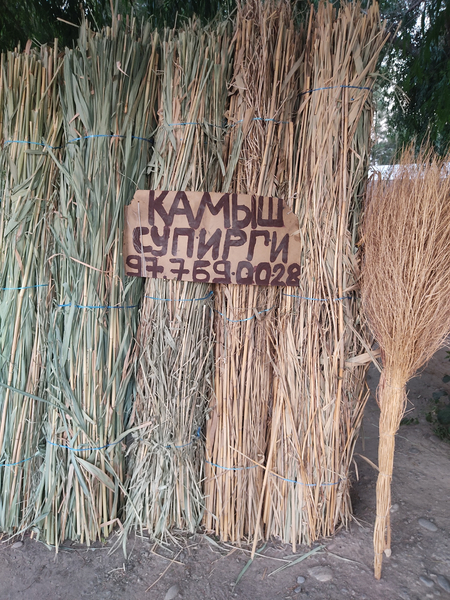 Хар хил турдаги камышлар бор