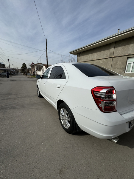 Cobalt ltz 2022 kraskasi toza
