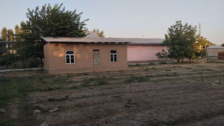 Янгиюльда Уй сотилади