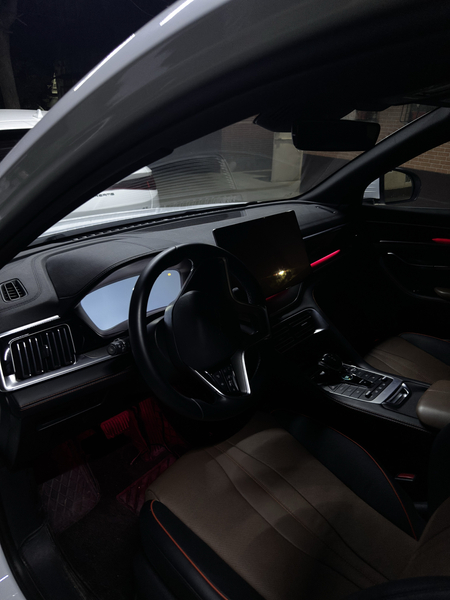 Byd gibrid 3 poz