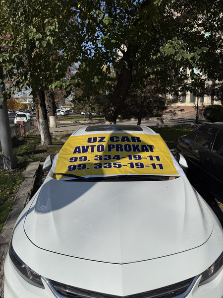 Prakat qora jentra 3pazitsiya