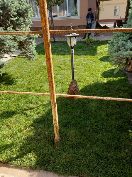 Tabiiy gazon ekish xizmati
Johnsons N_1
Самый качественный декаративны