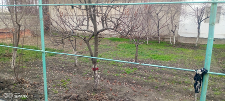 Дом продаётся  8 сотих