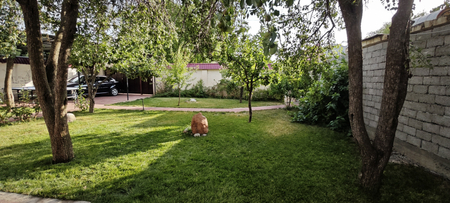 Дача дом Каранкул , Dacha Qorankul