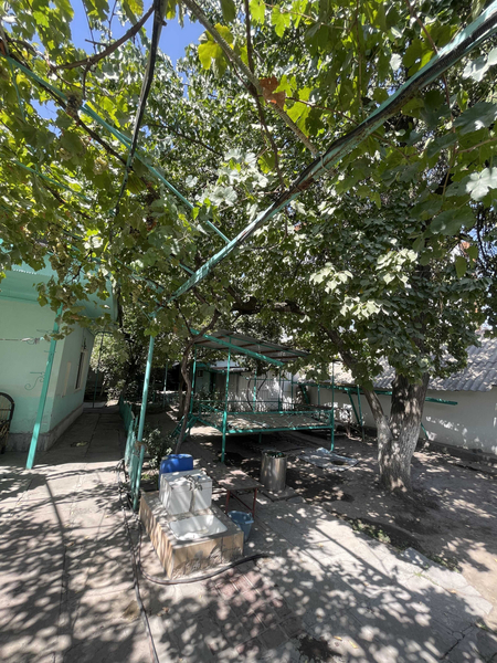 Дом и 6 соток рядом с Alfraganus