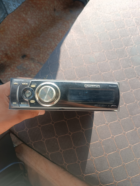 Pioneer delfin mafon