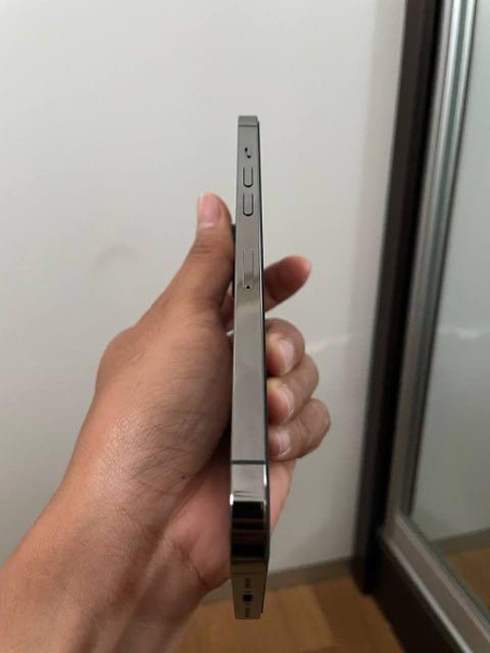 iPhone 12 Pro Max 256GB