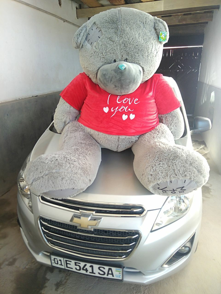 Teddi teddy teddiy