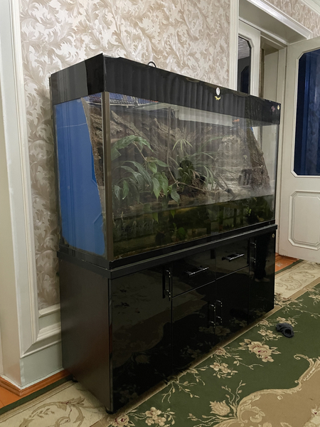 Akvarium terraryum