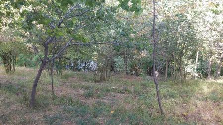 Продается дача, Сиджак. 12-соток.
