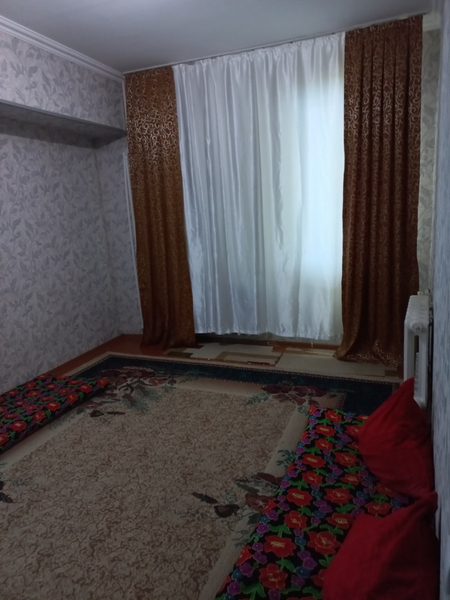 Srochna qora qamish 2/4 2/3/4 sotiladi tansiqboyev bozorcha roʻparasi