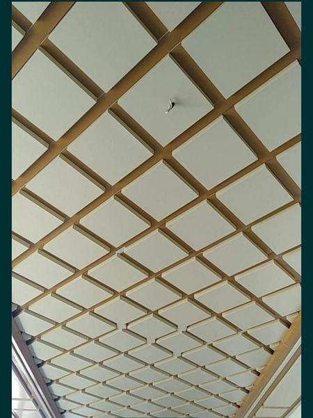 Алкапон усталари