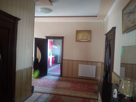 Kotej otchoparda srochna sotiladi