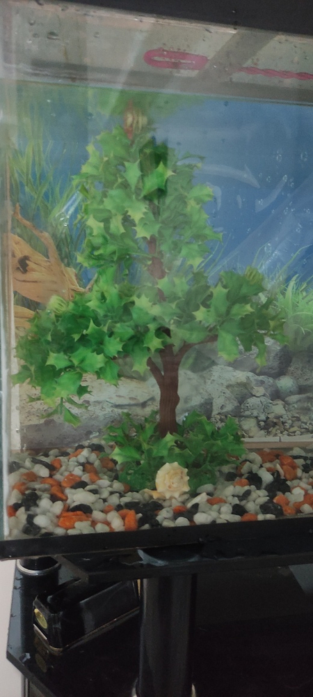 Akvarium 100 ga 50