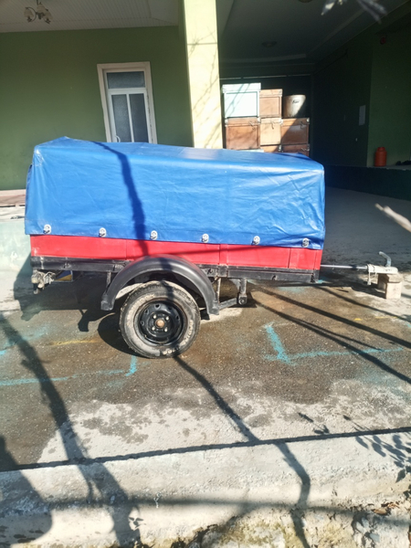 Prsep sotiladi samodelny