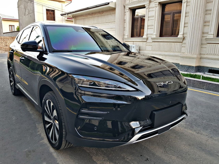 BYD Chempion 605Km 2024 Топтоза Состаяние Йенгиде Пробег 29500km