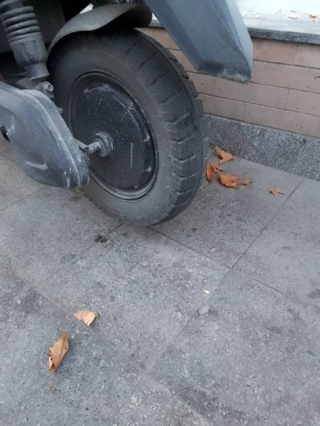 Skutr xolati zur aybi yoq