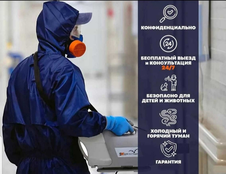 Dezenfeksiya ДЕЗИНФЕКЦИЯ от Клопов Тараканов Мухи Камари Грызунов 24/7