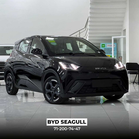 BYD SEAGUL arzon narxda va garantiya bilan birga sotib oling