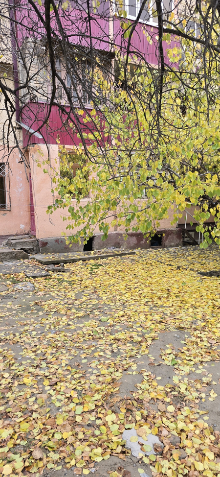 Аренда Без агентства 2 комнатная Согдиана 1 этаж