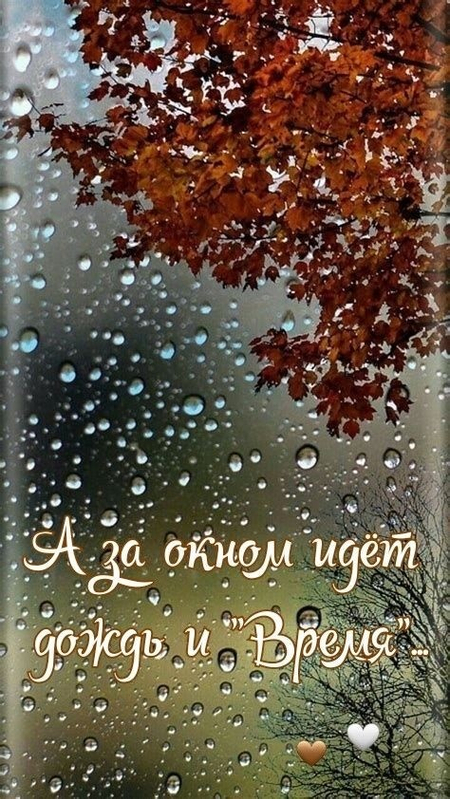 Шуба. Новая росийская