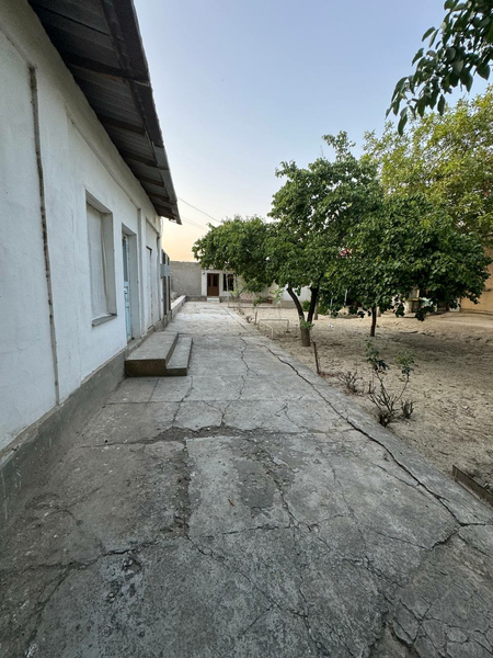 Xona arendaga berladi akuradni odamga