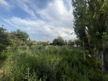 Uchaski sottoladi
