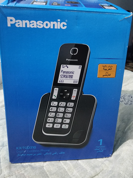 Domashniy radiotelefon