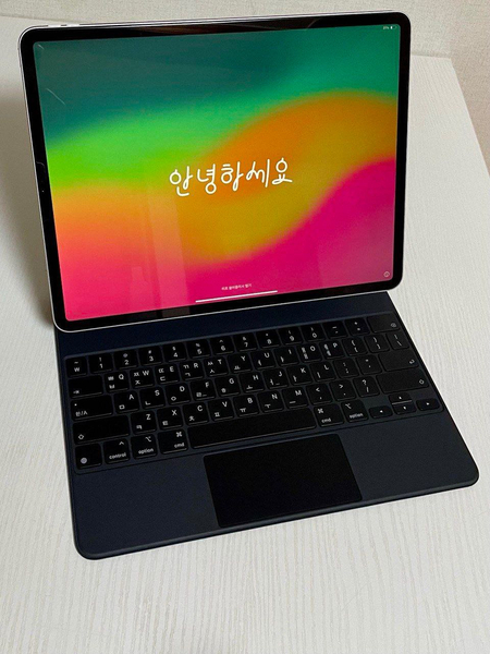 iPad Pro 12.9-inch (4th Generation) Wi-Fi  128GB + iPad Magic Keyboard