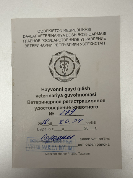Отдам собаку в добрые руки