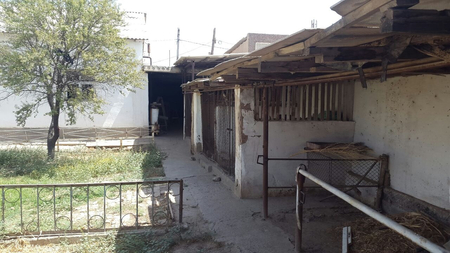 Hovli uy sotiladi. Срочно продается дом