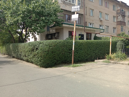 Арча ва гулларга шакил бэриш дорилаш хизмати бор