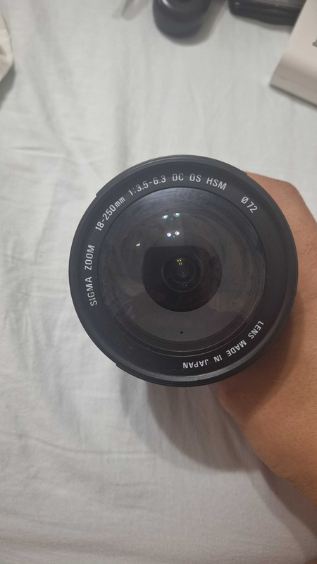 Sigma DC 18-250 mm