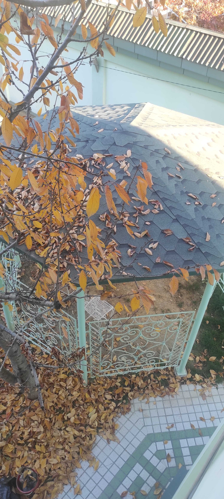Дворовая садовая беседка
