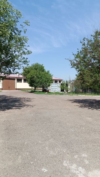 Дамарик  от ташми поста 2 километров 110 соток