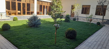 Gazon urugidan ekamiz garantiyasi bilan