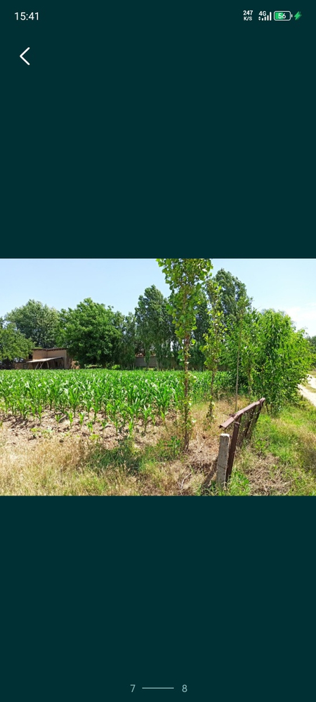 Yer uy sotiladi 16.5 sotih zudlik bilan