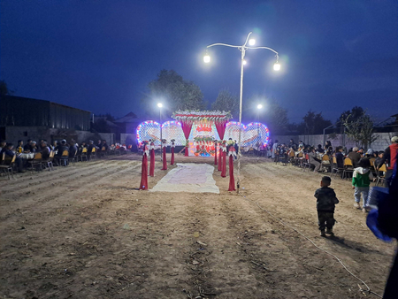Saxna sotiladi gullari kampilikit
