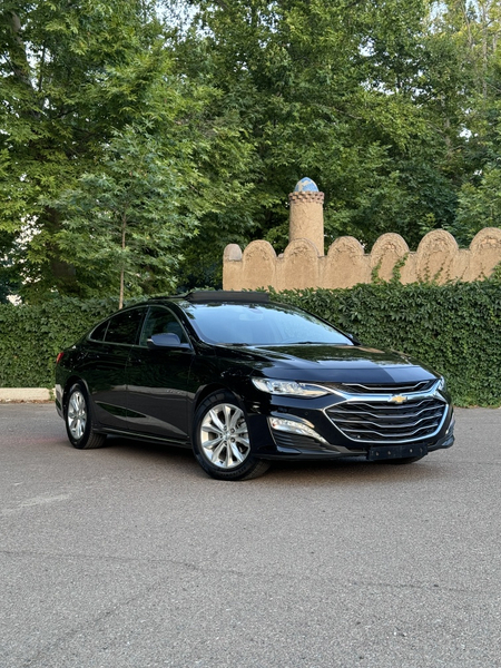 Malibu 2 primier