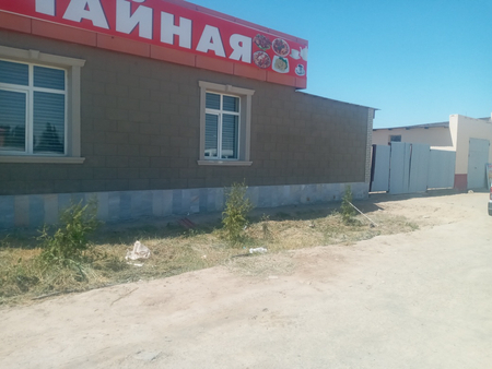 КАФЕ,Столовая,мойка