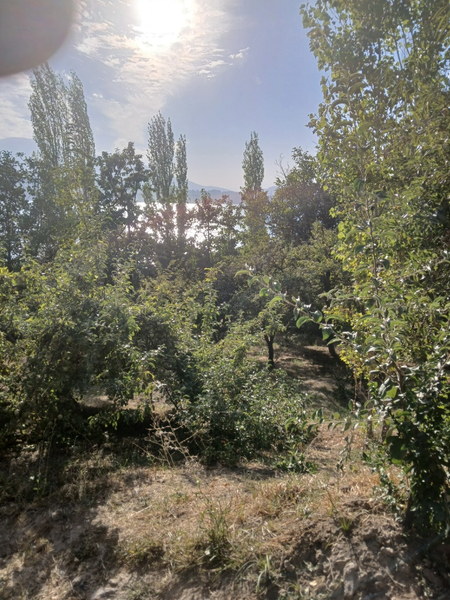 Dacha quriw uchun yer sotiladi 6 sotox