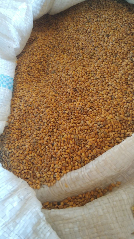 Arzand 1.5 tonna