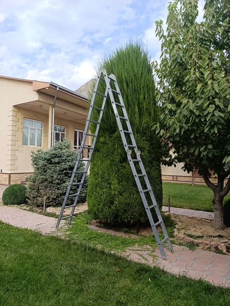 Богбон садовник сад