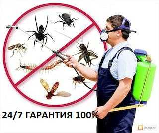 Дезинфекция 100% гарантия, Dizinfeksiya, от таракан, мух и клопов