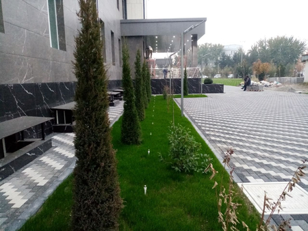 Maysa (gazon) ekib berish xizmati