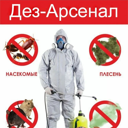 Xashoratlarga qarshi dezinfeksiya