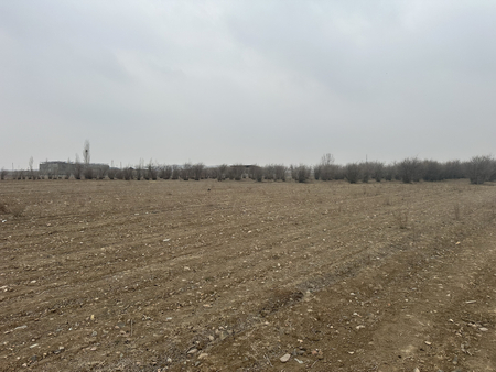 Bog’ sotiladi 3gektar 60 sotix anor kochatlari bor